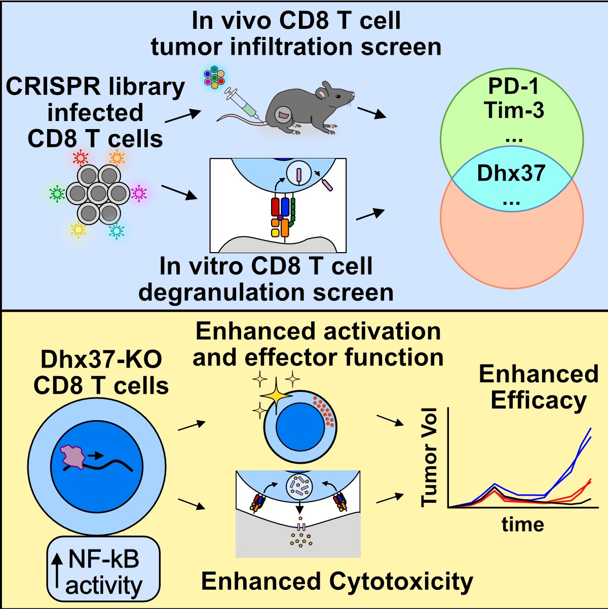 Ye Lab – Nanjing University