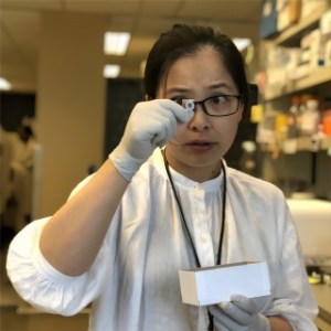 Our Team – Ye Lab – Nanjing University